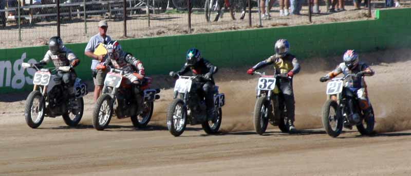 Willow Sunday WCVDTS PRO