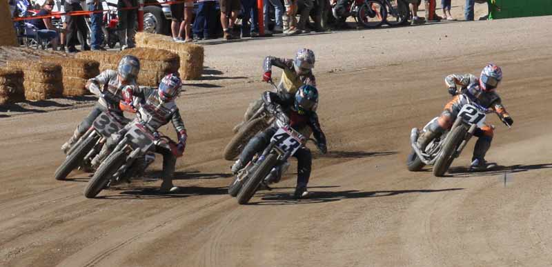 Willow Sunday WCVDTS PRO