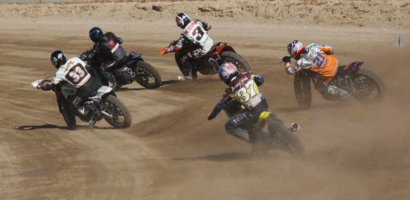 Willow Sunday WCVDTS PRO