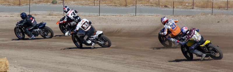 Willow Sunday WCVDTS PRO